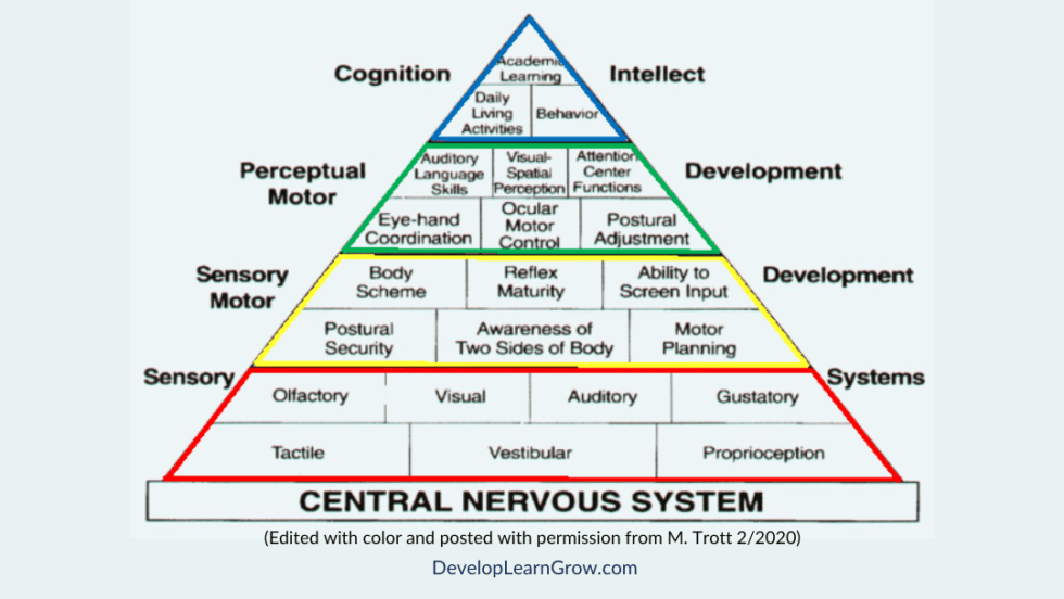 The Sensory Pyramid of Learning - DEVELOP LEARN GROW