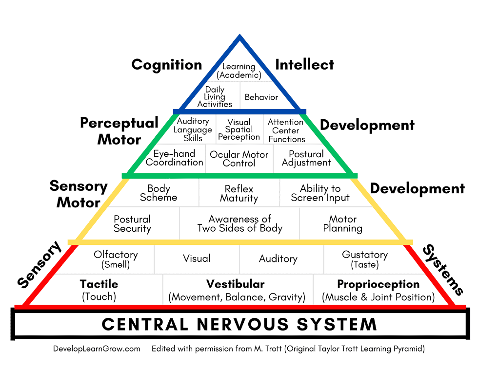 The Sensory Pyramid of Learning - Foundation for Development - DEVELOP ...
