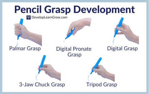 Development of Pencil Grasp - How to Promote a Functional Grasp with 5 ...